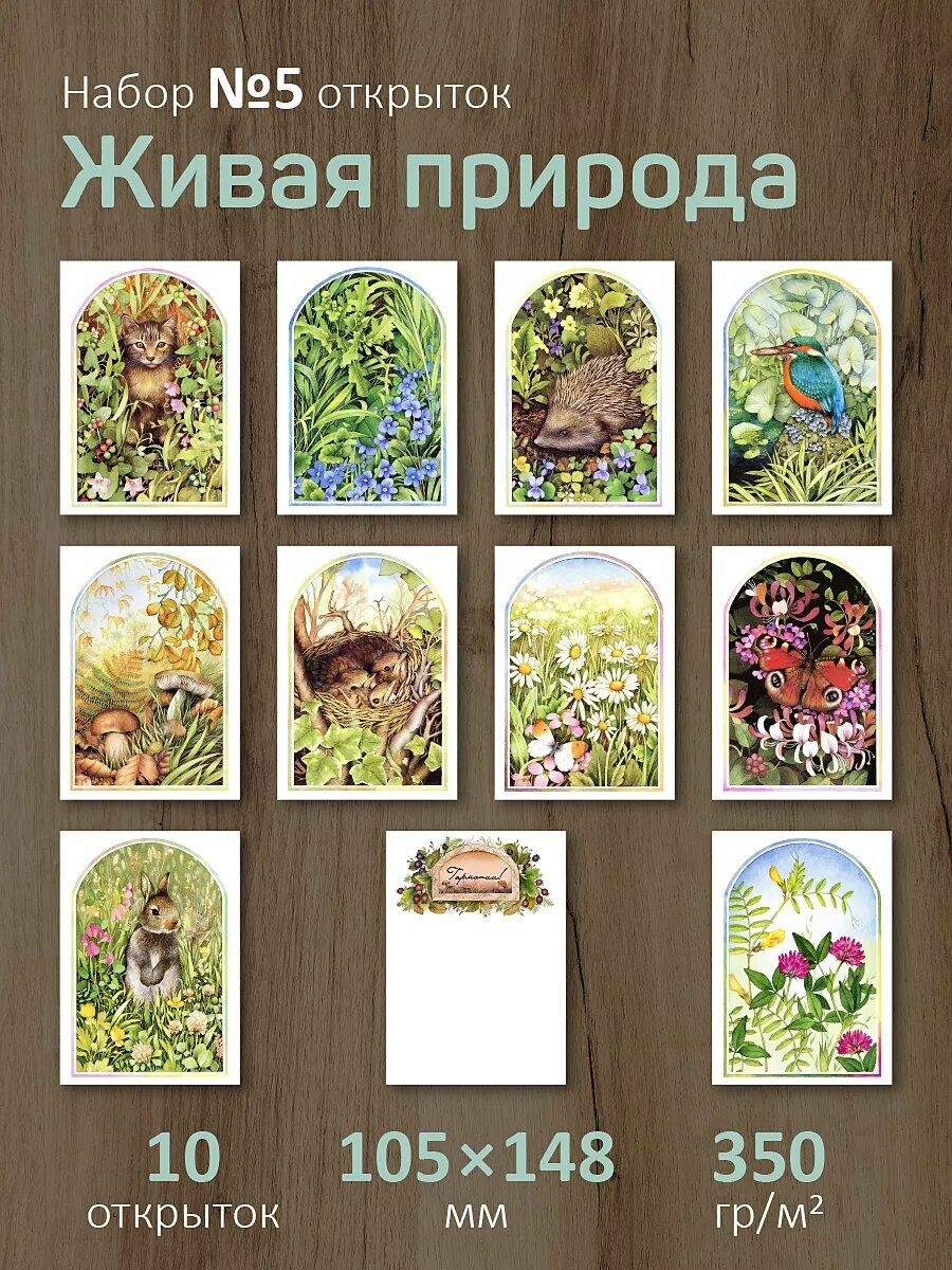 Набор 10 почтовых открыток для посткроссинга "Живая природа" №5