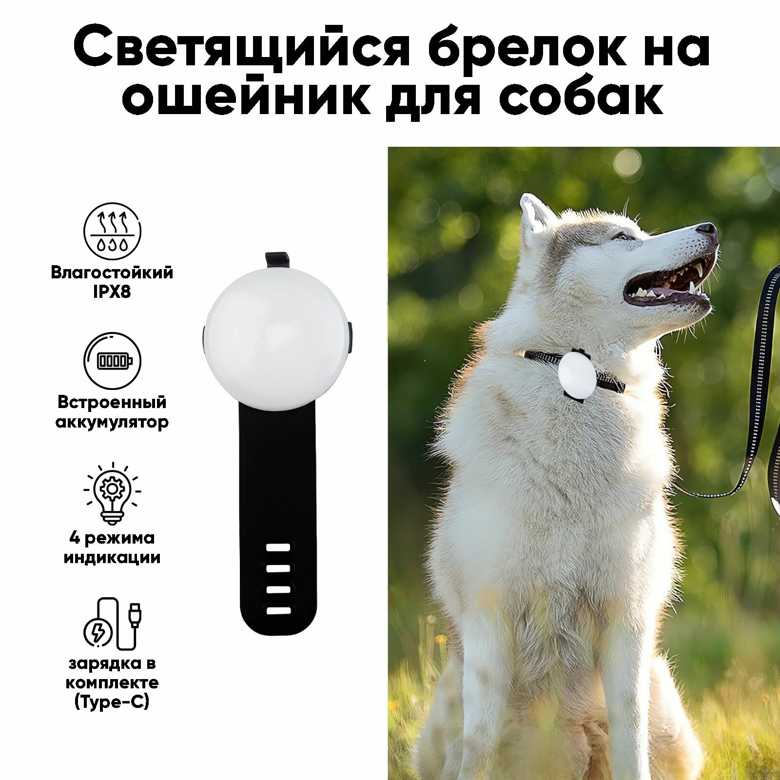 Блинкер