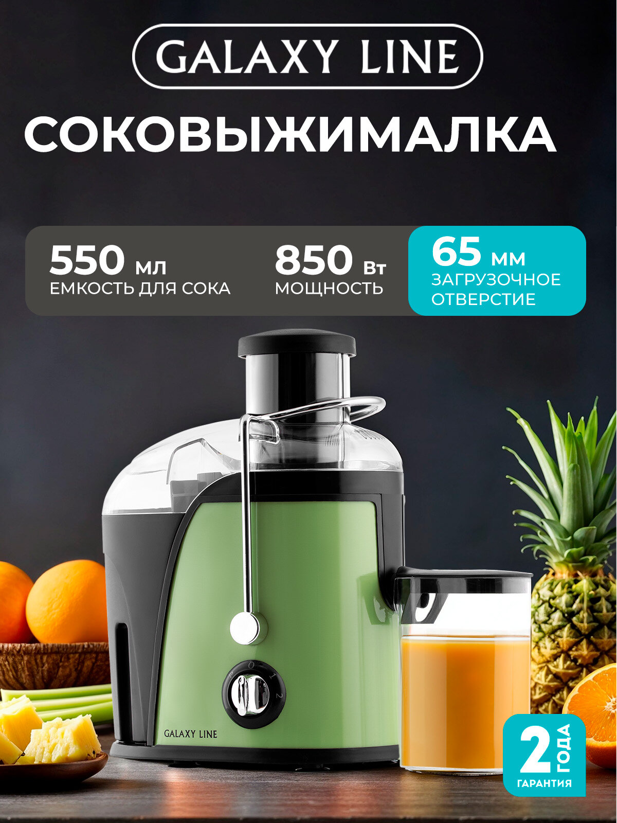 Соковыжималка GALAXY LINE GL0815, центробежная, 850 Вт, фильтр из нержавеющей стали