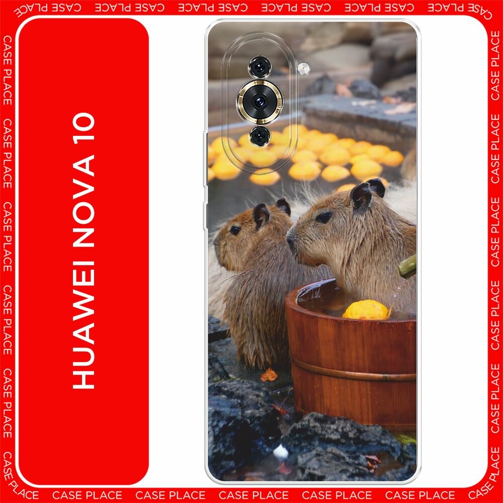 Чехол на Huawei Nova 10 / Хуавей Нова 10 с принтом "Капибары отмокают"