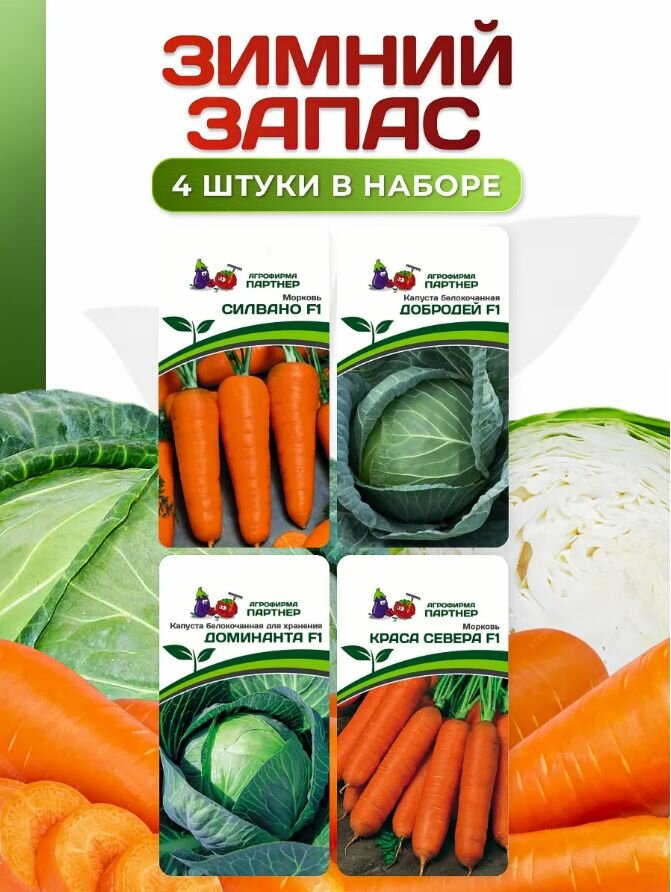 Семена набор: Зимний запас - Морковь Краса севера, Силвано, Капуста Добродей, Доминанта