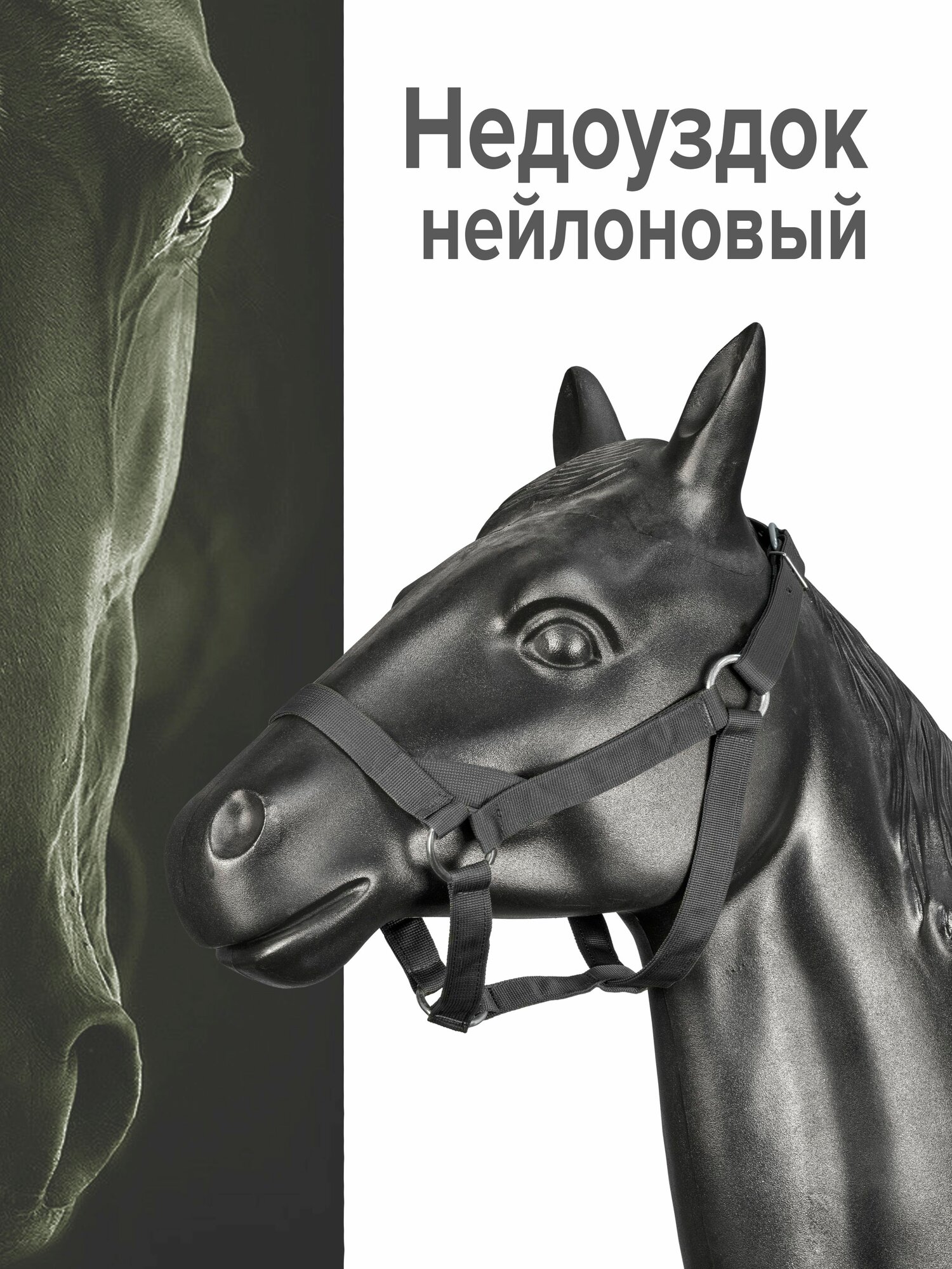 Недоуздок REITER, нейлон, двойной, 30мм, черный, для лошадей