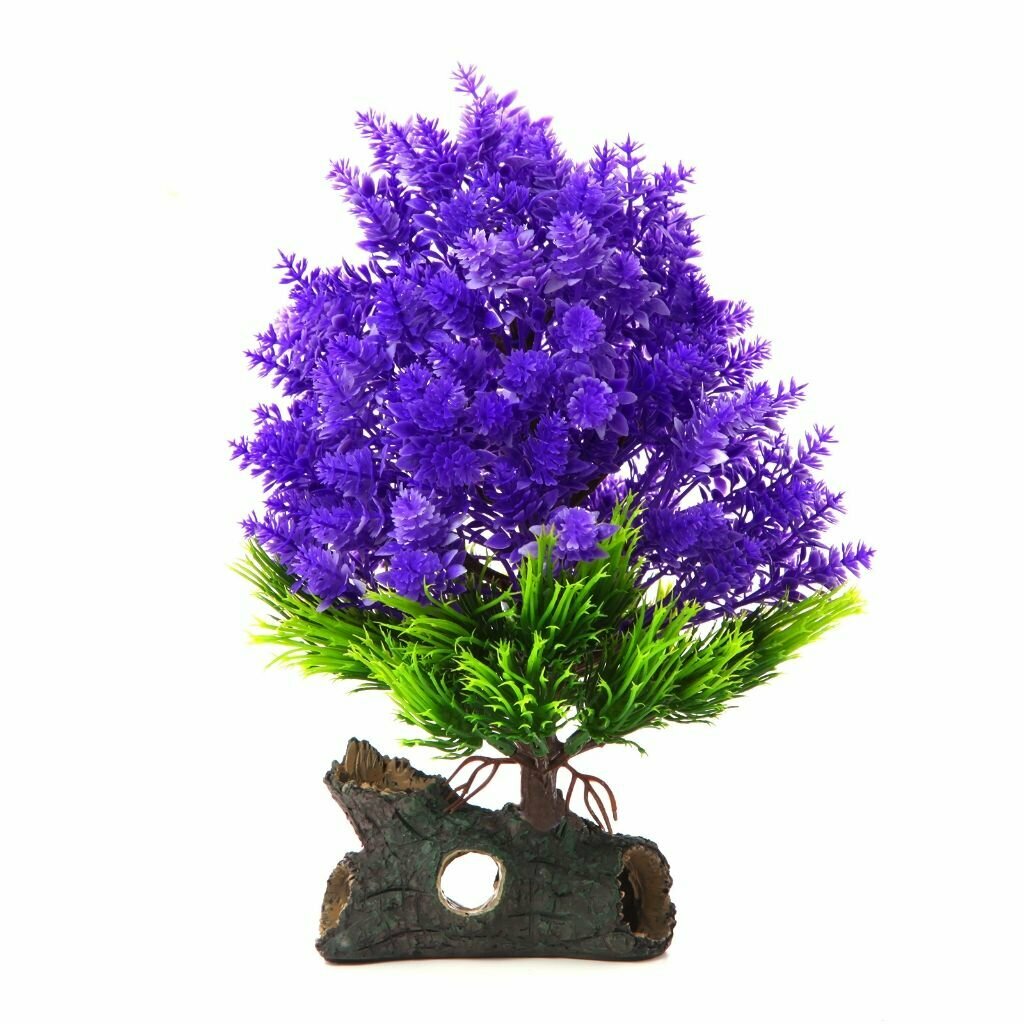 Моделирование водное растение завод аквариум акваскейп моделирование дерево дерево корень зеленый водное растение