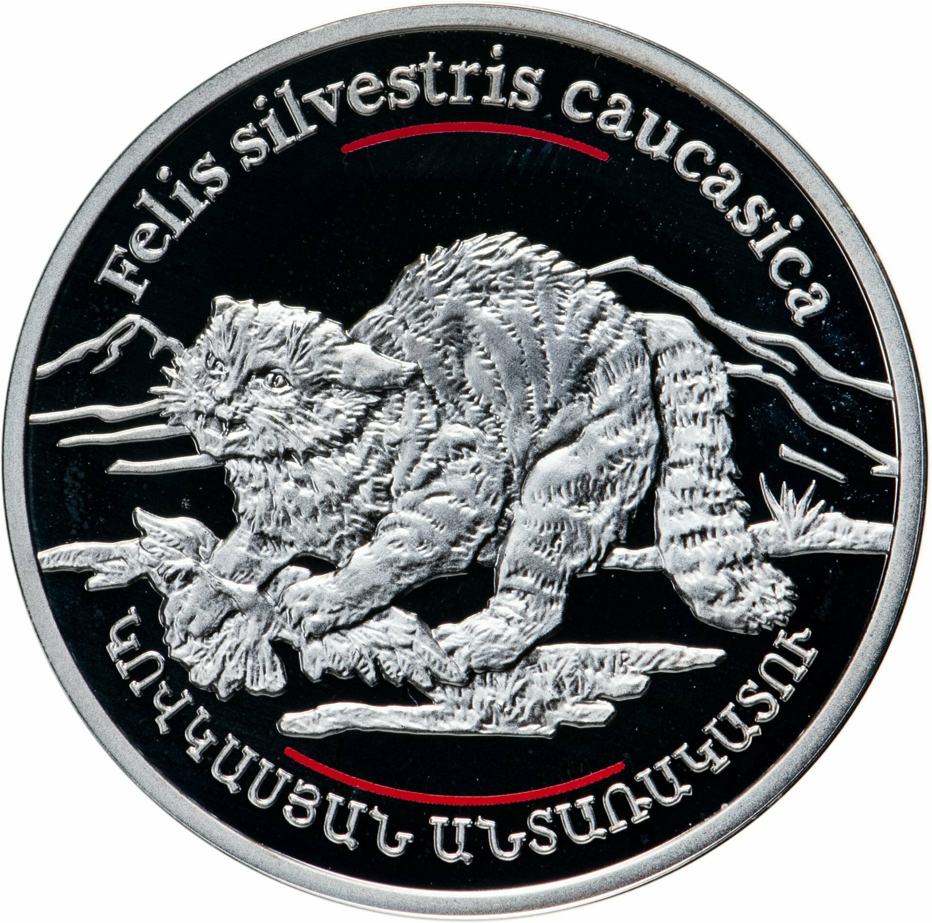 Армения 100 драмов 2006 Proof "Кавказская лесная кошка - Кот - Красная книга", Серебро 925