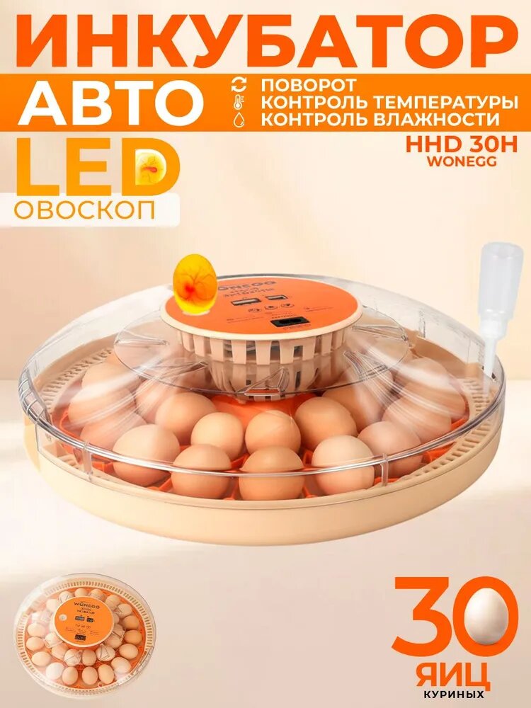 Инкубатор HHD 52H WONEGG автоматический для яиц 220В/12В от сети и аккумулятора, с овоскопом