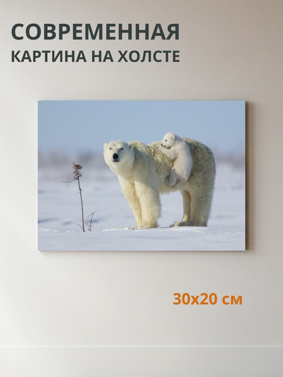 Картина на холсте Полярные медведи 30x20 см