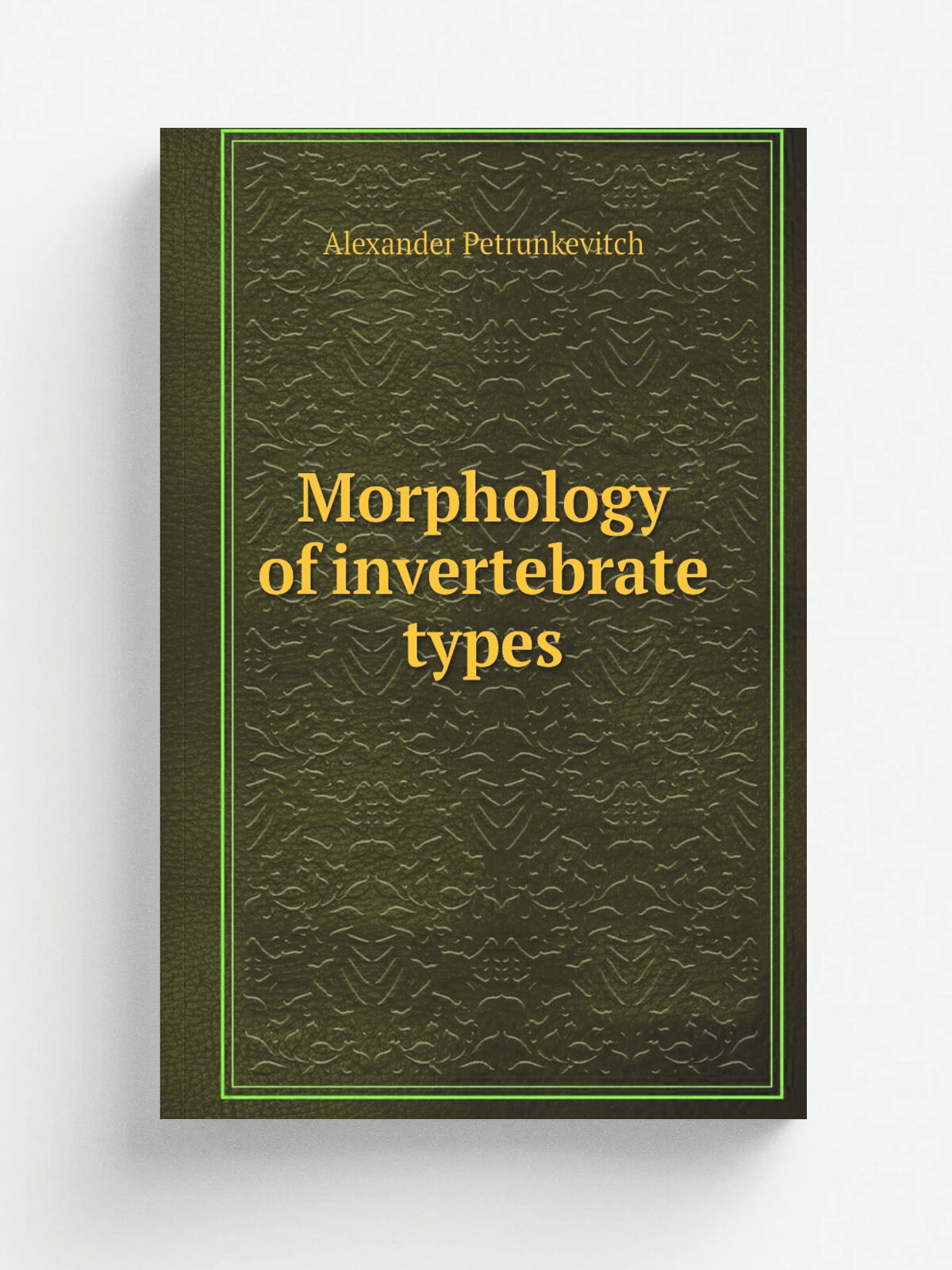 Morphology of invertebrate types