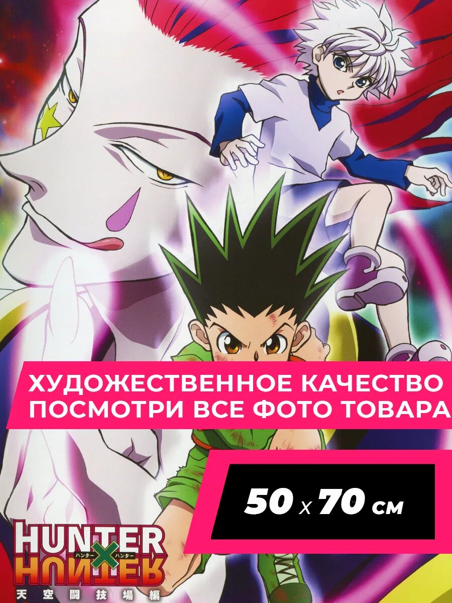 Постер Хантер х Хантер на стену 5 Hunter x Hunter 50 на 70, матовая фотобумага премиум качества