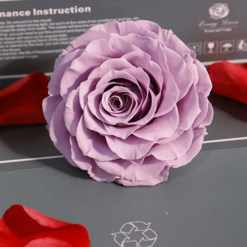 Вечный цветок, головка розы, 9-10см, фиолетовый Таро