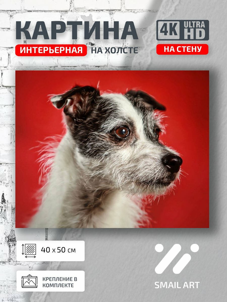 Картина на холсте интерьерная 40 на 50 на стену Собака dog для офиса пейзаж интерьер декор