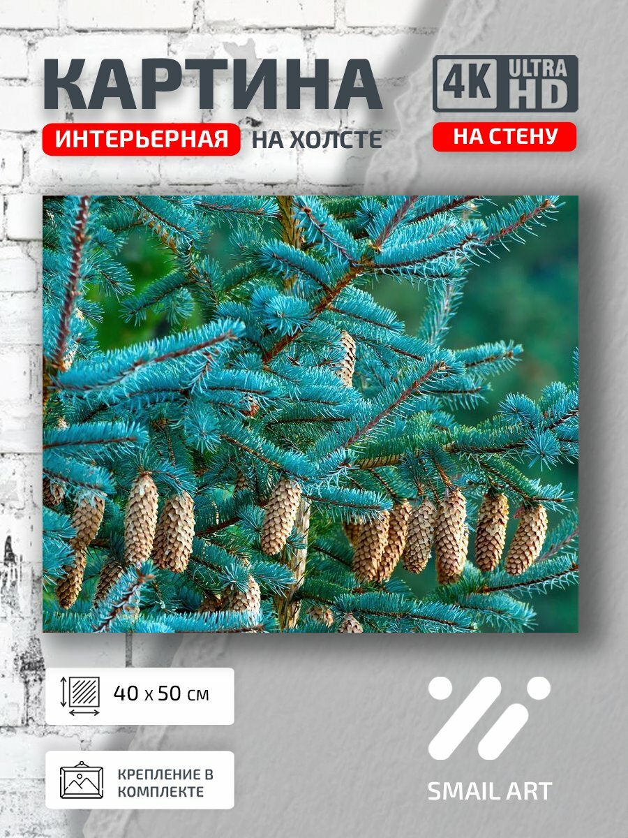 Картина на холсте интерьерная 40 на 50 на стену Ветки Landscape для спальни пейзаж интерьер