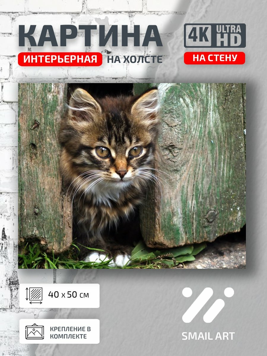 Картина на холсте интерьерная 40 на 50 на стену Мордочка Animal для кафе animal style декор