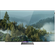 55" OLED телевизор Skyworth 55SXF9850 (3840x2160, HDMI, LAN, WiFi, BT, USB, DVB-...