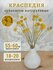 Сухоцветы Краспедия, 40 см