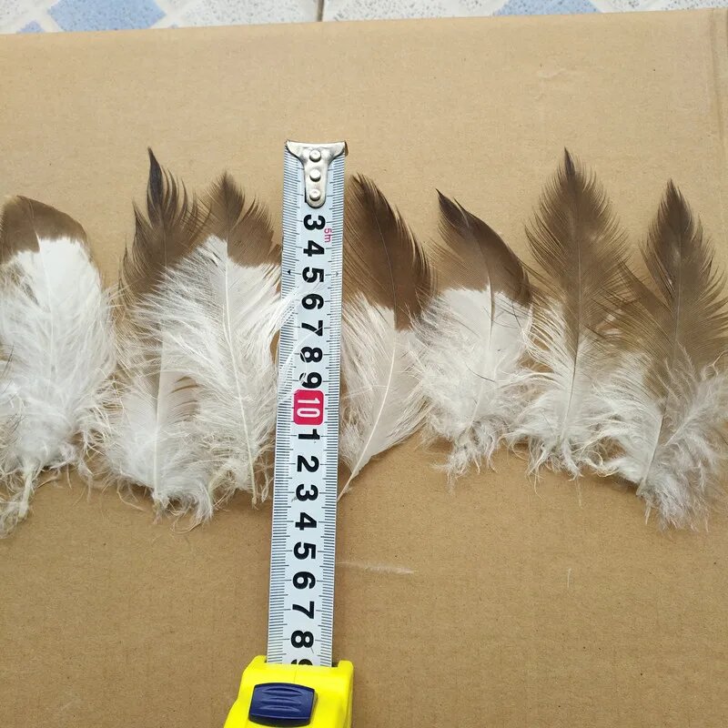 Перья золотого орла ZQCRAFTS 10 шт