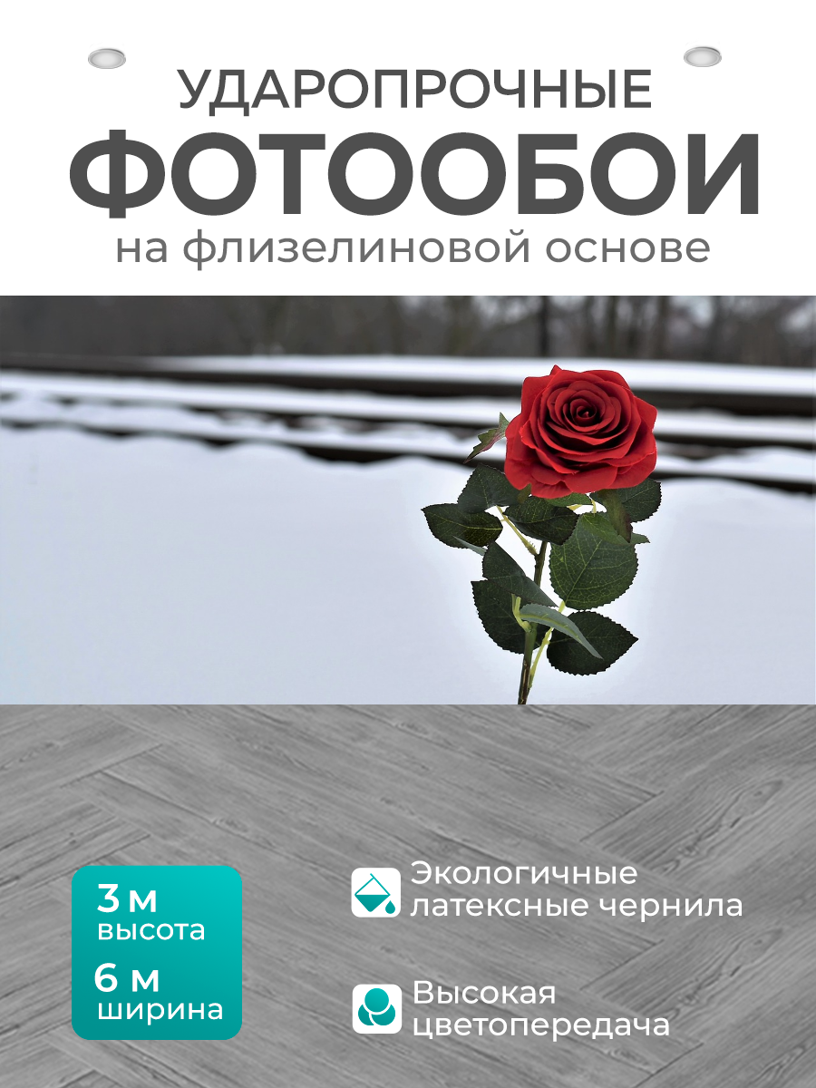 Фотообои моющиеся ударопрочные "Красная роза в снегу, символ любви, железная дорога" 600x300 см. флизелиновые на стену