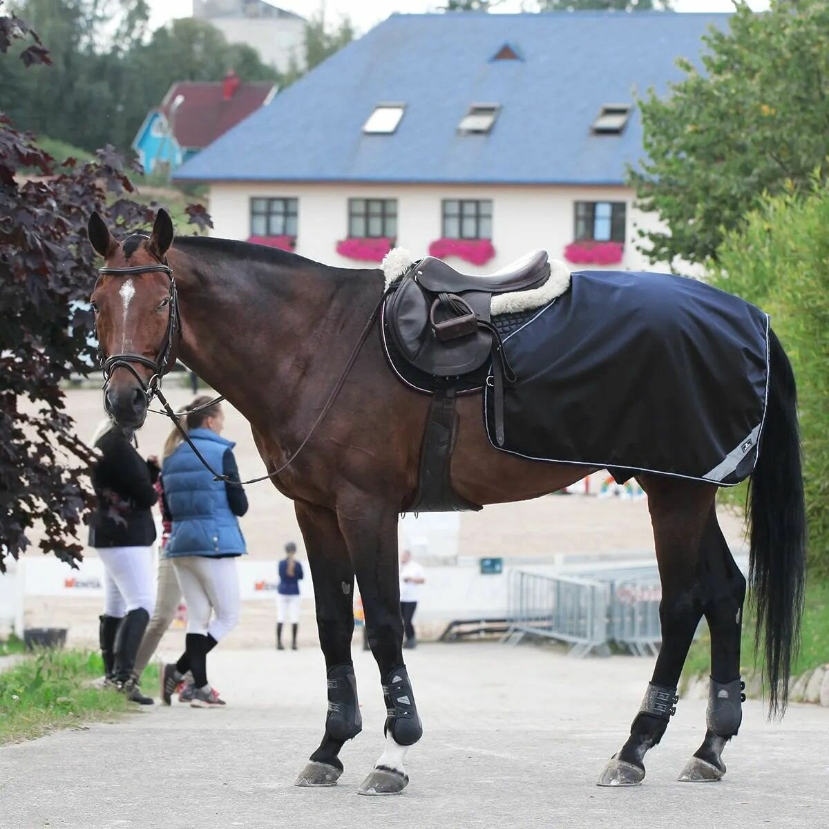 Полупопона для лошади RIDING на флисе чёрный