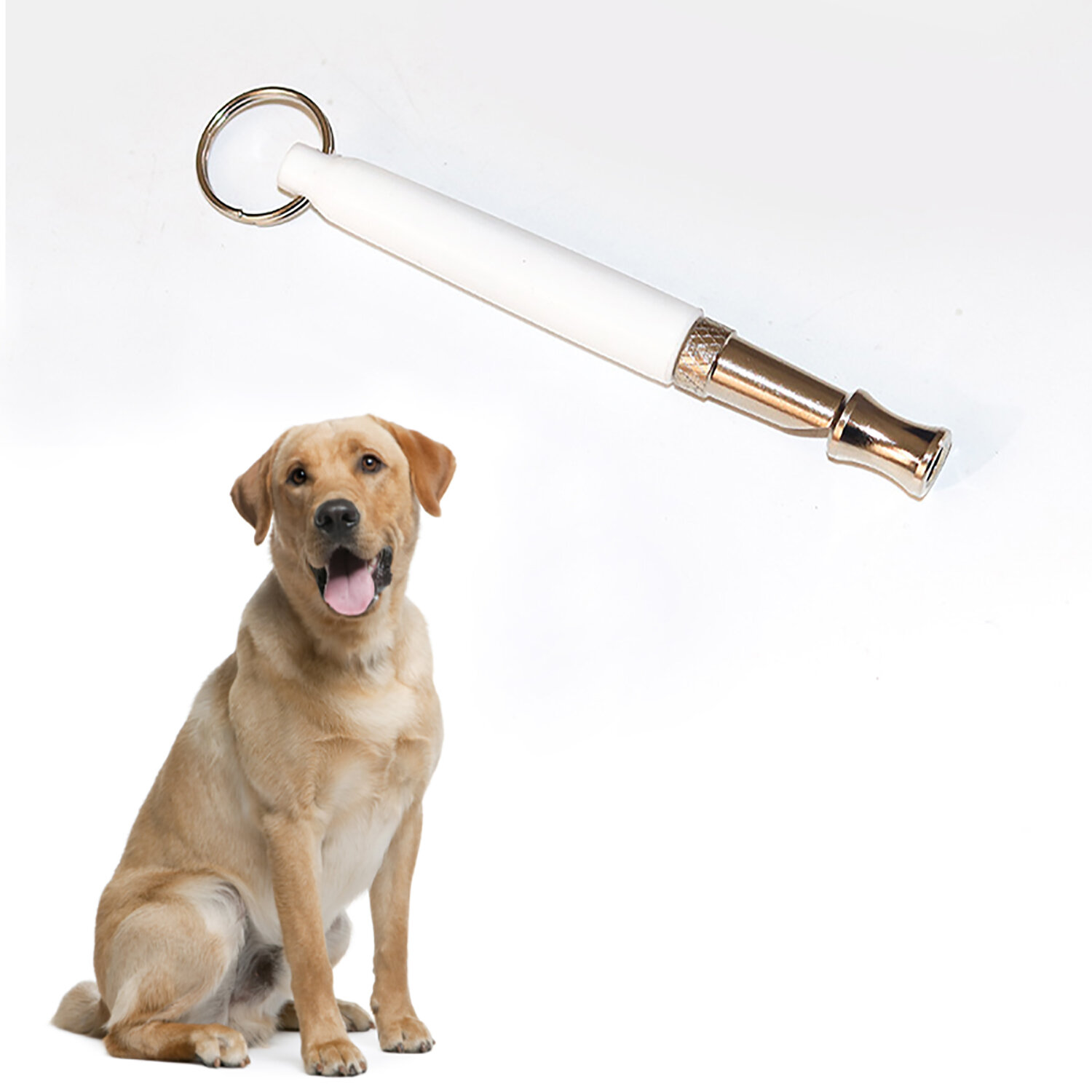 Ультразвуковой свисток для дрессировки собак: бесшумный и регулируемый