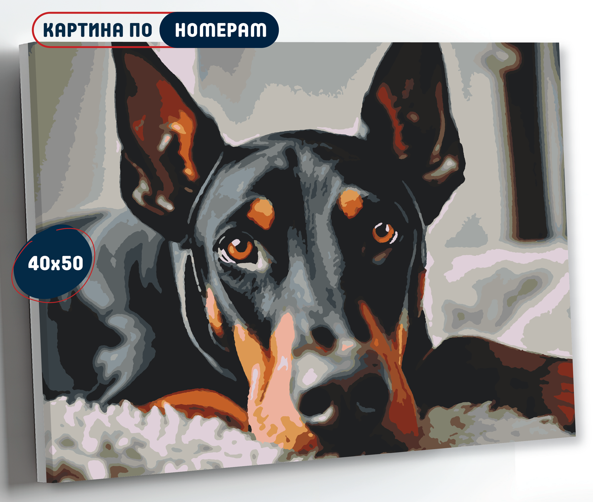 Картина по номерам "Доберман", Холст на подрамнике 40х50, набор для рисования, с животными