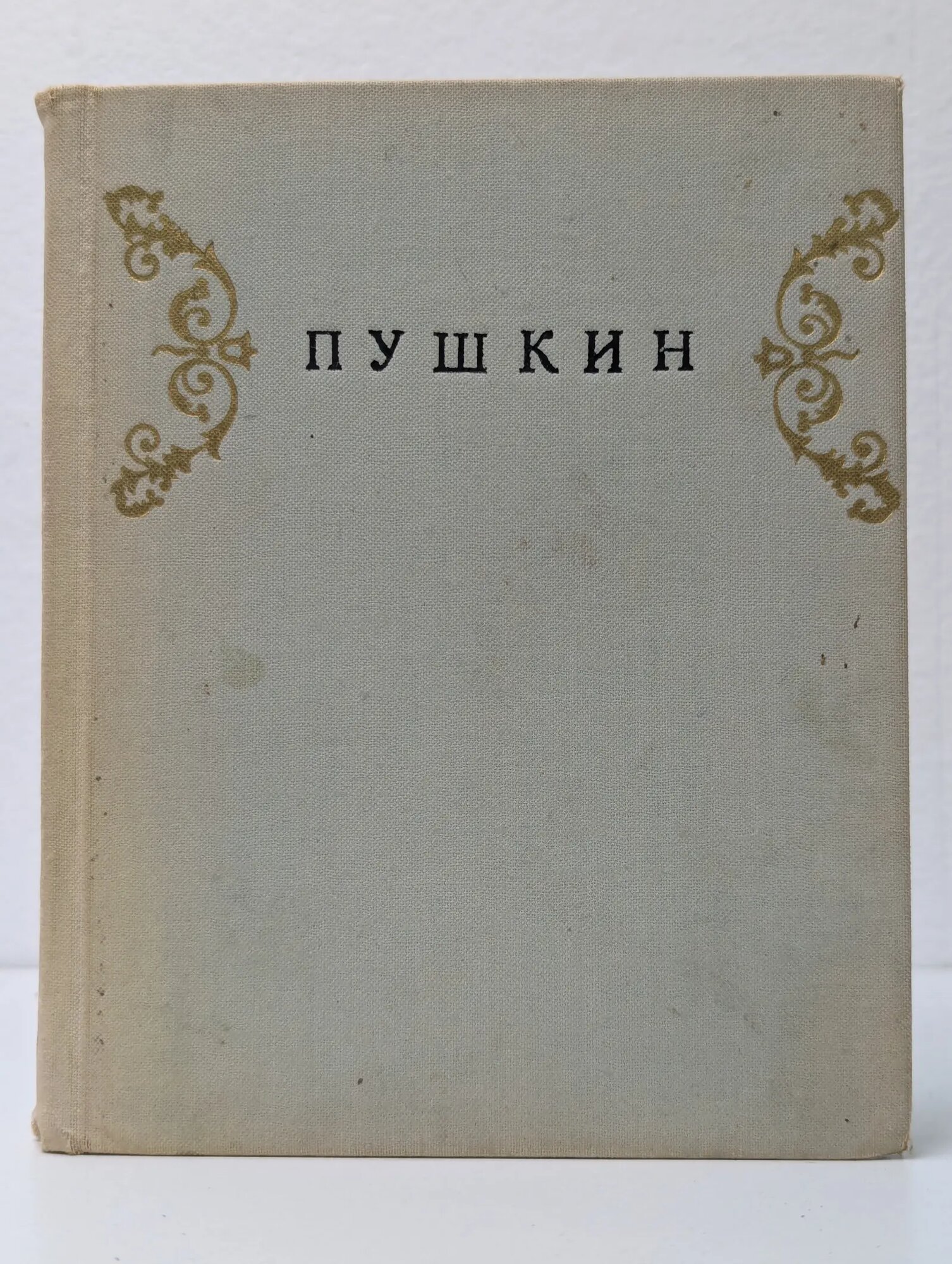 Пушкин Емина Лидия Владимировна 1972