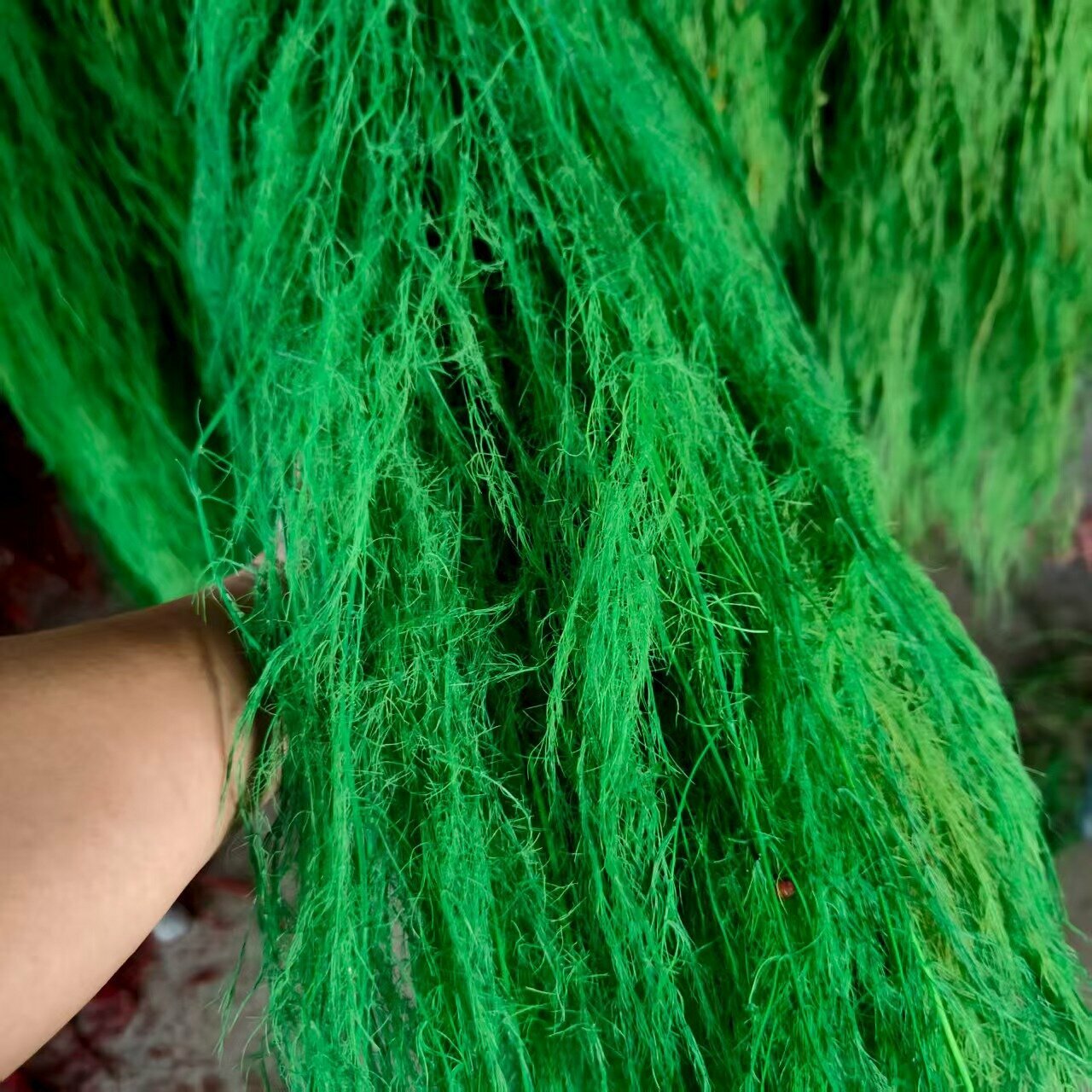 Сушеные цветы, аспарагус, длинная трава, висячий рис, свадебное украшение, мягкая декорация, флористическое искусство, висячая обработка на заказ