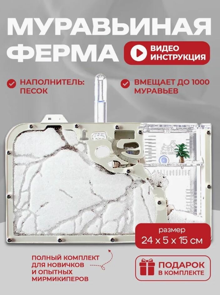 Формикарий муравьиная ферма с песком