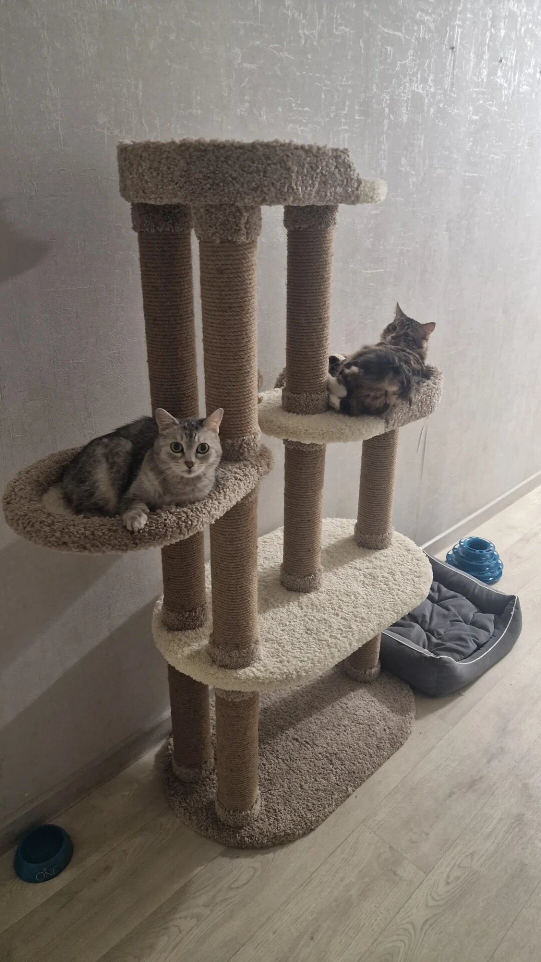 Игровой комплекс с гамаком и лежанками из ковролина , для кошки , высота 160 см , цвет коричневый и бежевый