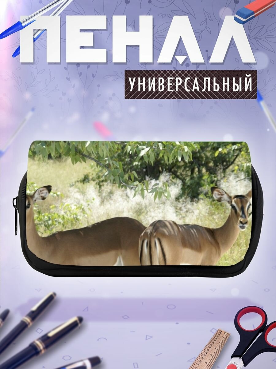 Школьный пенал антилопа олень