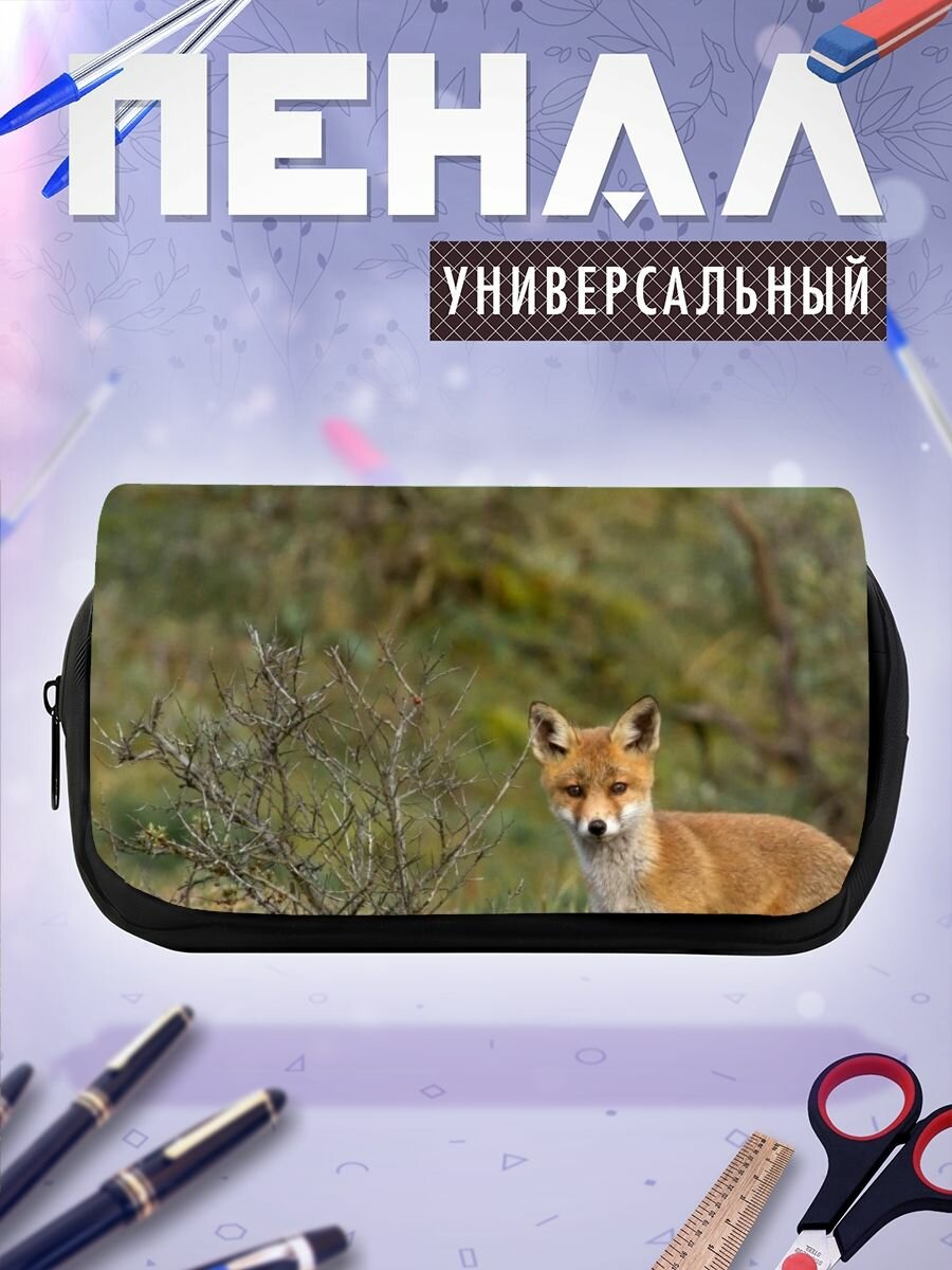 Школьный пенал живая природа рыжая лисица