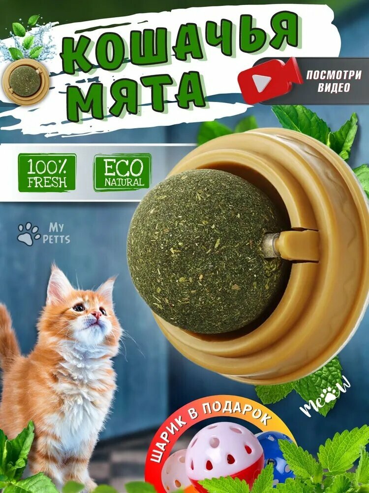 Кошачья мята шарик на стену леденец