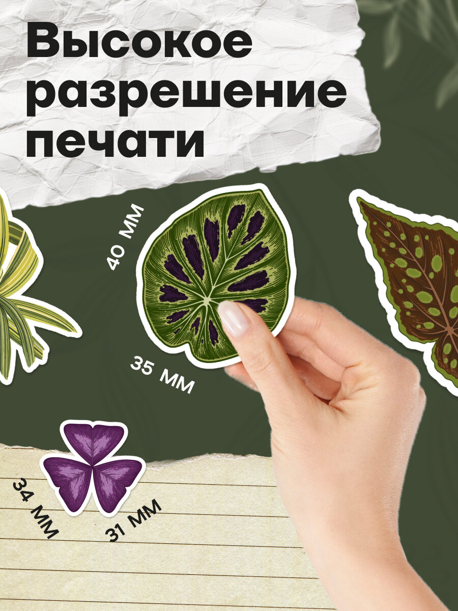 Набор наклеек Stick to Stick "Ботаника", многоразовые, винил — фото 1