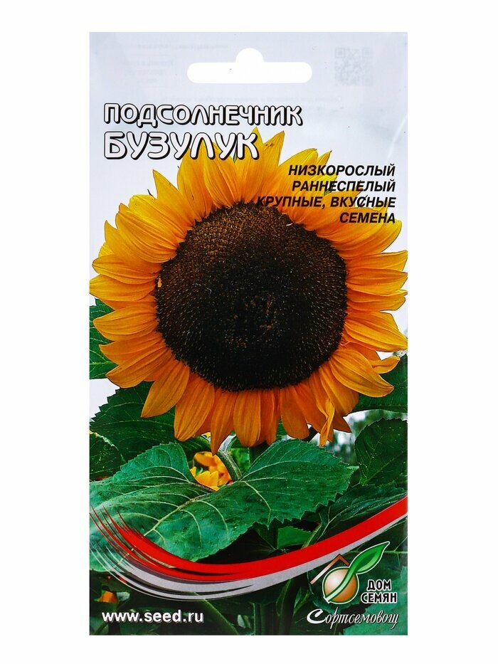 Семена Подсолнечник «Бузулук», 60 шт, «Дом семян»