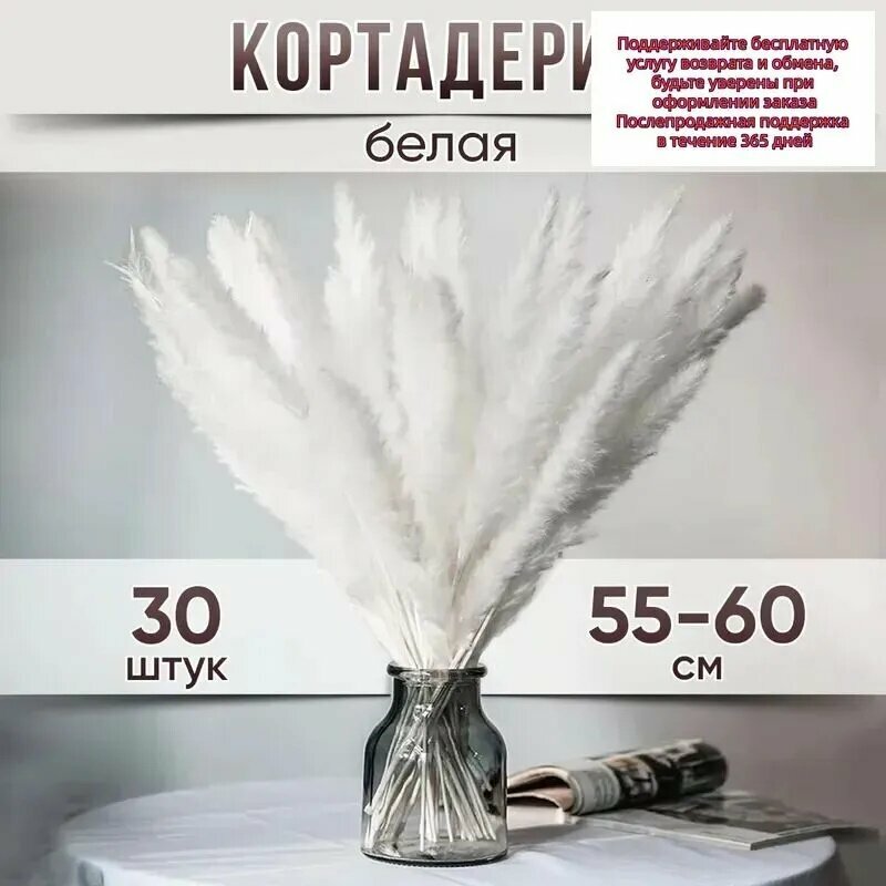 Сухоцветы Декоративный куст, 57 см, 250 гр, 30 шт