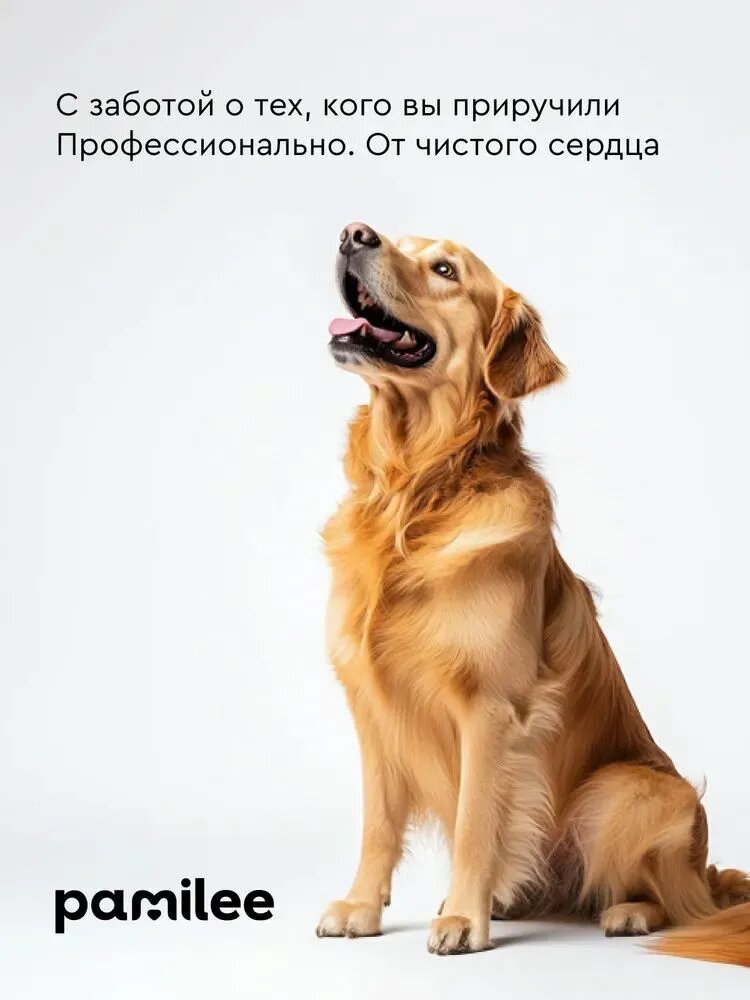 Влажные салфетки для чистки зубов собак, кошек, антибактериальные, Pamilee, 50 шт.