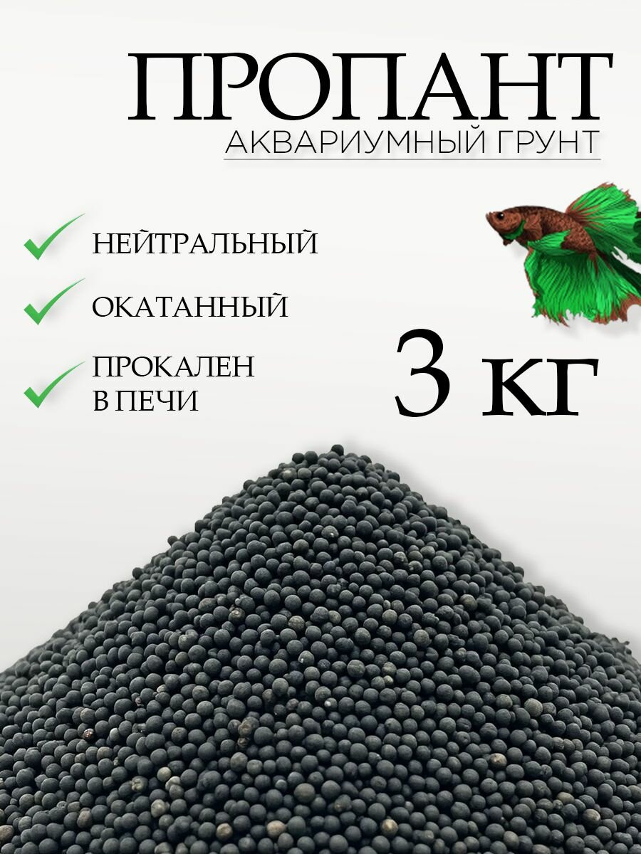 Пропант для аквариума, Голландский