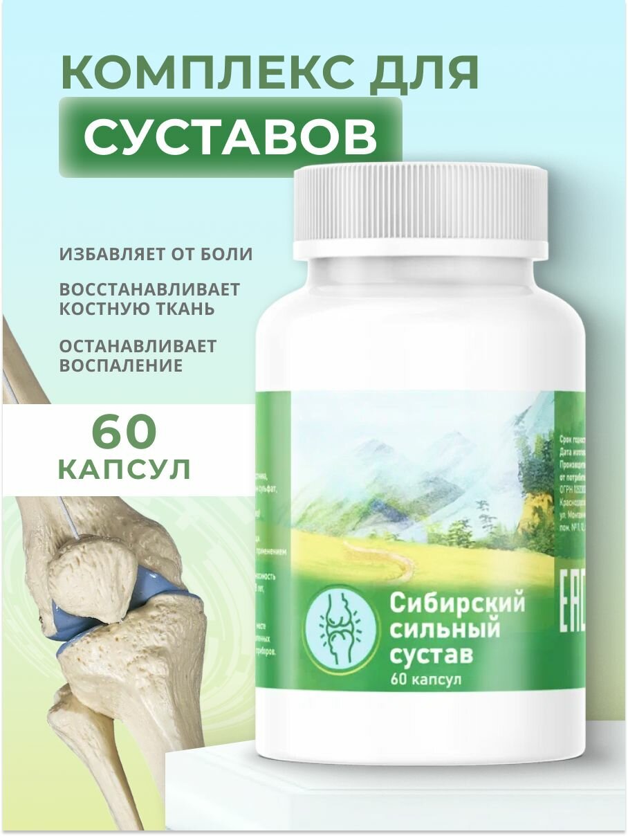 Комплекс Сибирский Сильный Сустав: для поддержки суставов, глюкозамин-хондроитин, 60 шт. по 500 мг