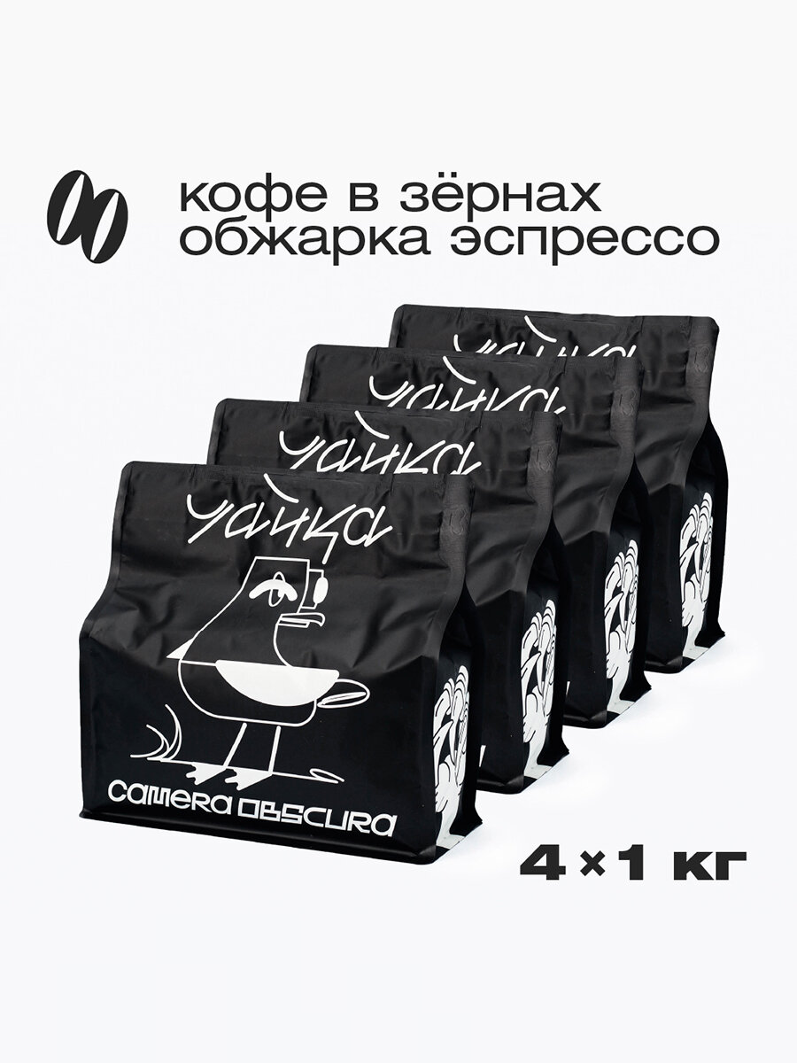 Чайка (Эфиопия Иргачефф), кофе в зернах Camera Obscura, набор 4кг