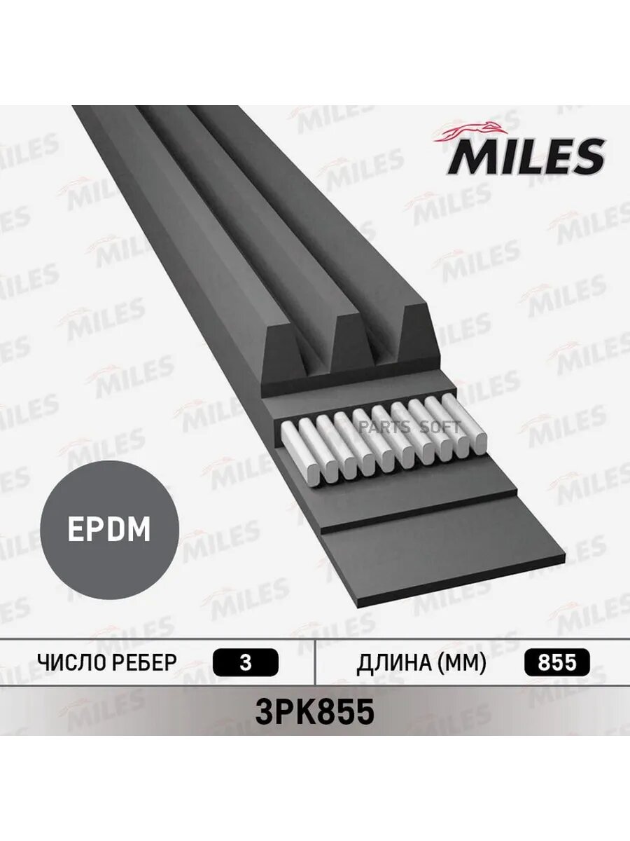 Ремень поликлиновой 3PK855