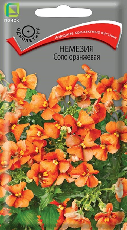 Семена цветов немезия Соло оранжевая, для дачи, сада, огорода и на рассаду