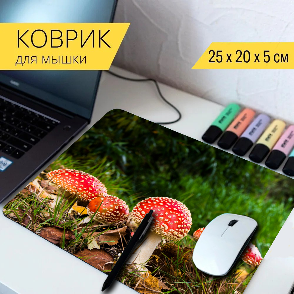 Коврик для мыши с принтом "Поганки Поганки летать грибные поганки грибы" 25x20см.
