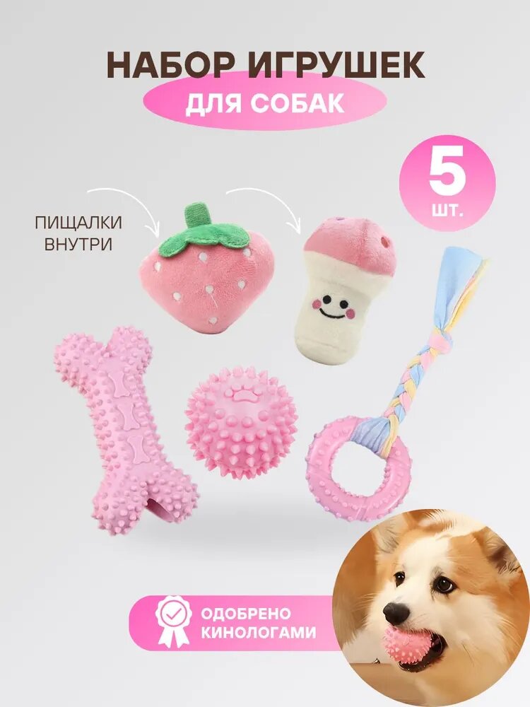 Игрушки для собак 5в1, набор игрушек для щенков и собак мелких и средних пород, резиновые, косточка, мяч, канат, кольцо, Paws&Tails