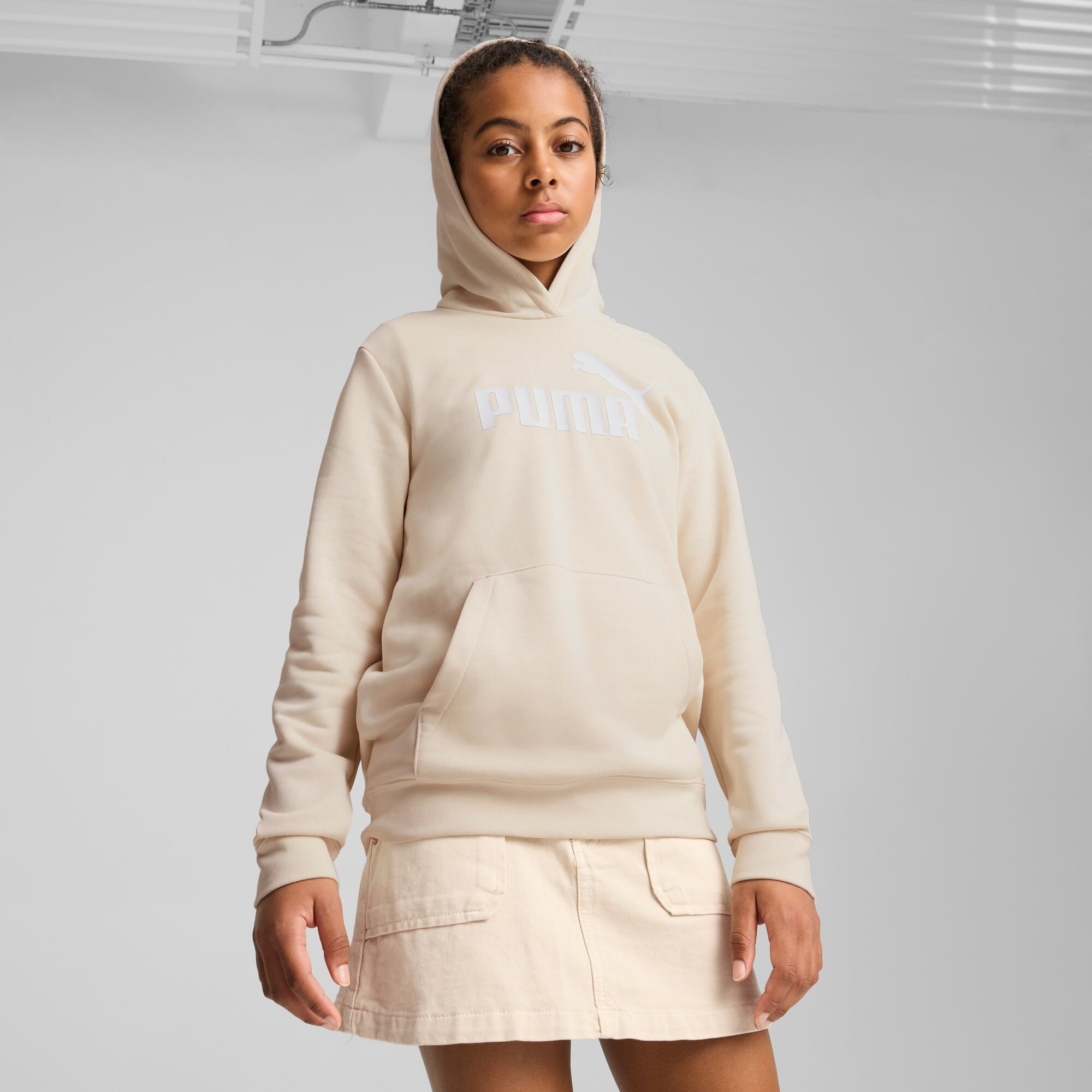 Худи ESS No. 1 Logo Hoodie