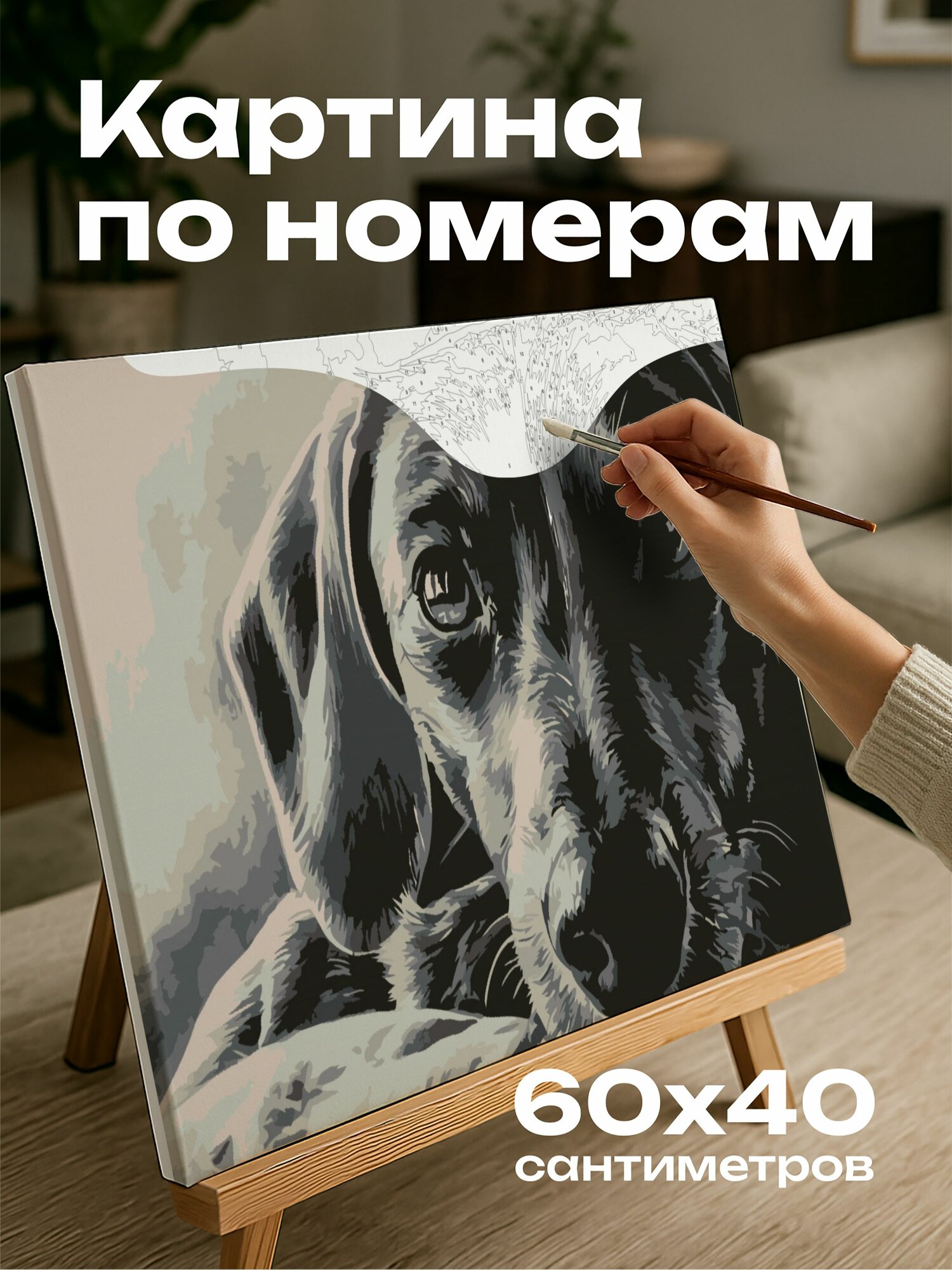 Картина по номерам 60x40 см, Такса, уголь, нежный взгляд, детали, мягкие штрихи, уютная комната, солнце, трогательное