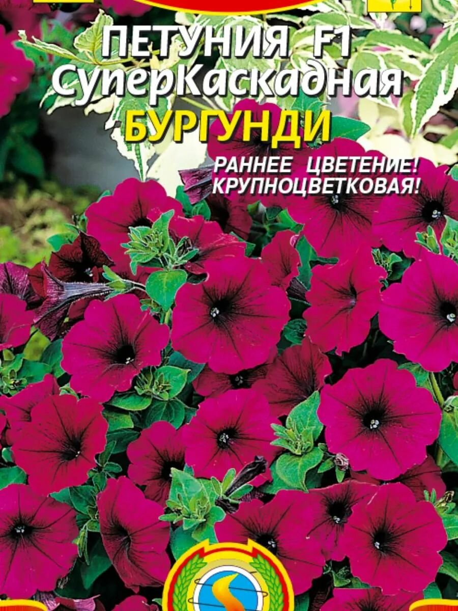 Петуния F1 Суперкаскадная Бургунди, 10драже в пробирке, Плазменные семена
