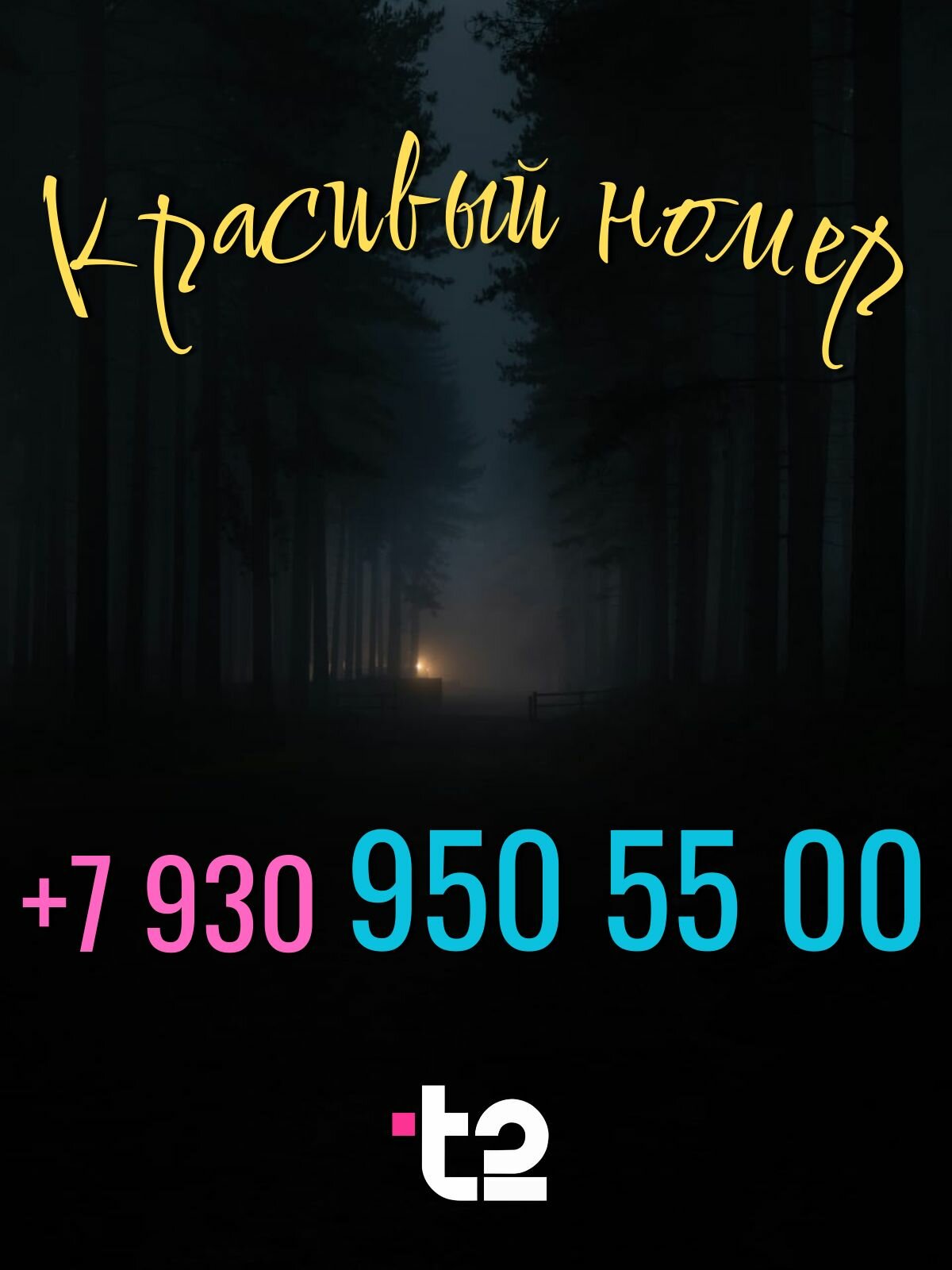 Сим-карта