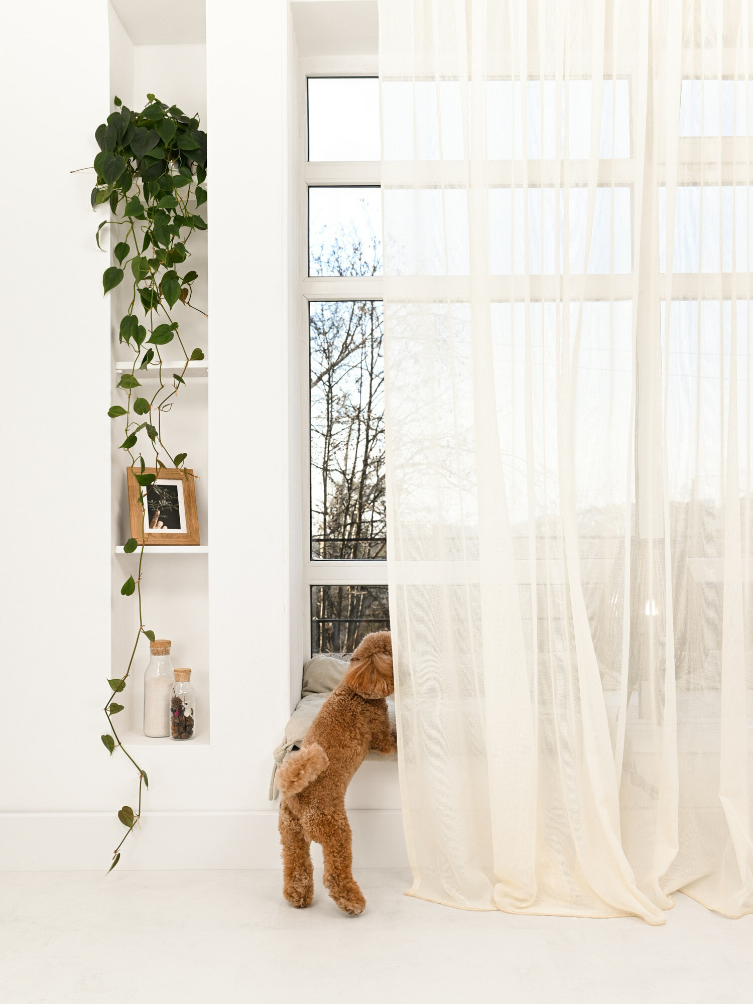 Тюль антикоготь "Катара", Erika Home (Evrika Home), 300х280см, на шторной ленте