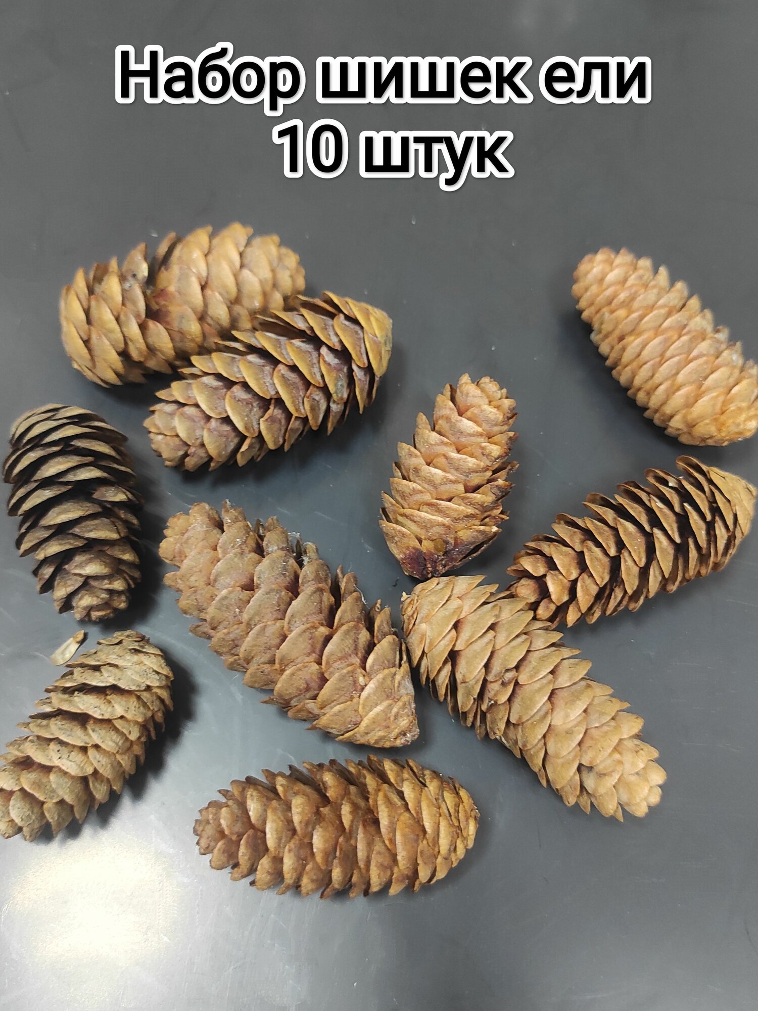 Шишки ели, 10 штук