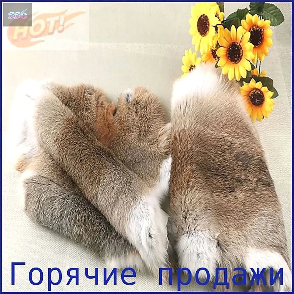 Шкура 0.42х0.28 м — фото 1