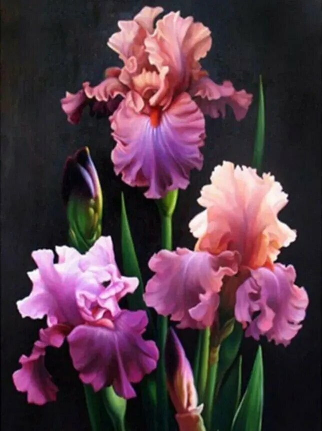 Алмазная мозаика " Ирисы" на холсте 40х50 см , без подрамника