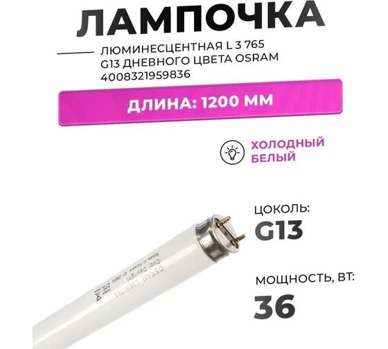 Линейная люминесцентная лампа Osram BASIC T8 36Вт 6500К G13